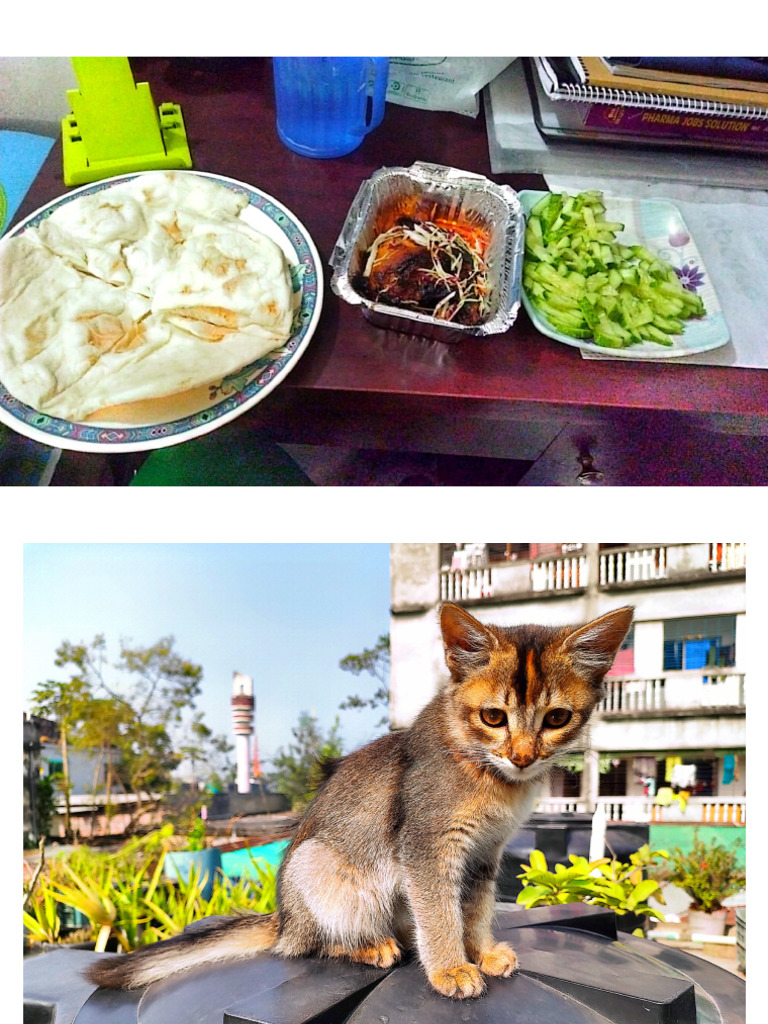 food bd | PDF