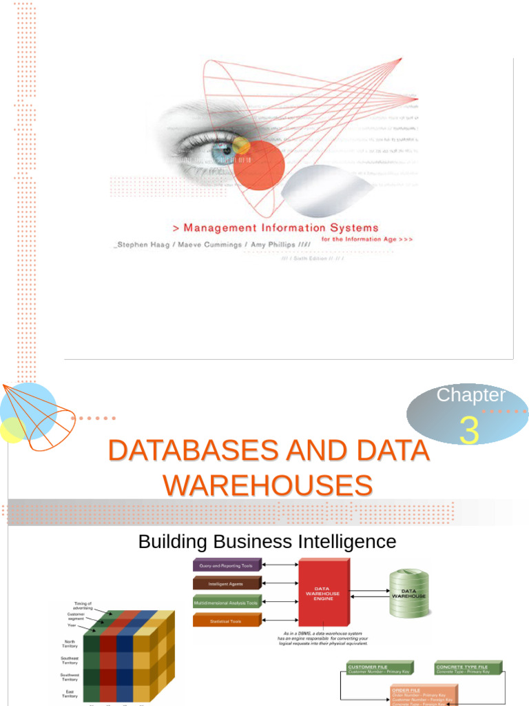 Chap03 DATABASES AND DATA WAREHOUSES | PDF | Computing | Data Management