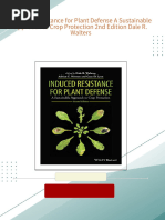 Progression Guide - Official Fisch Wiki | PDF