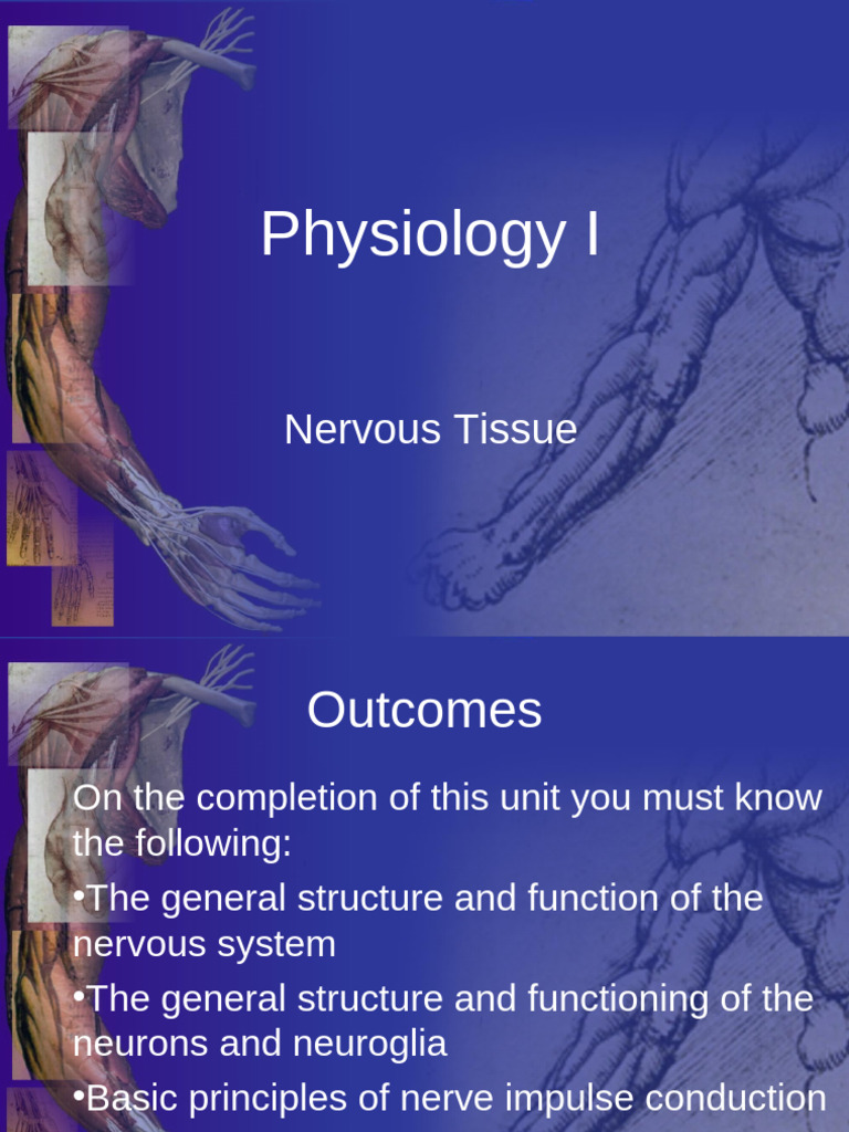 Unit 5 - Nervous Tissue | PDF | Chemical Synapse | Neuron