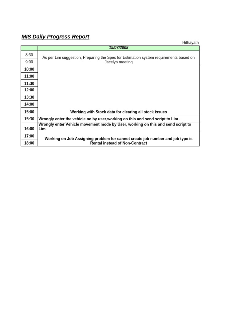 MIS Daily Progress Report Summary | PDF