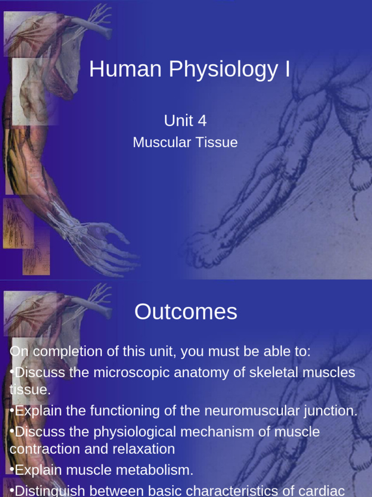 Unit 4 - Muscular Tissue 2022 | PDF | Muscle Contraction | Motor Neuron