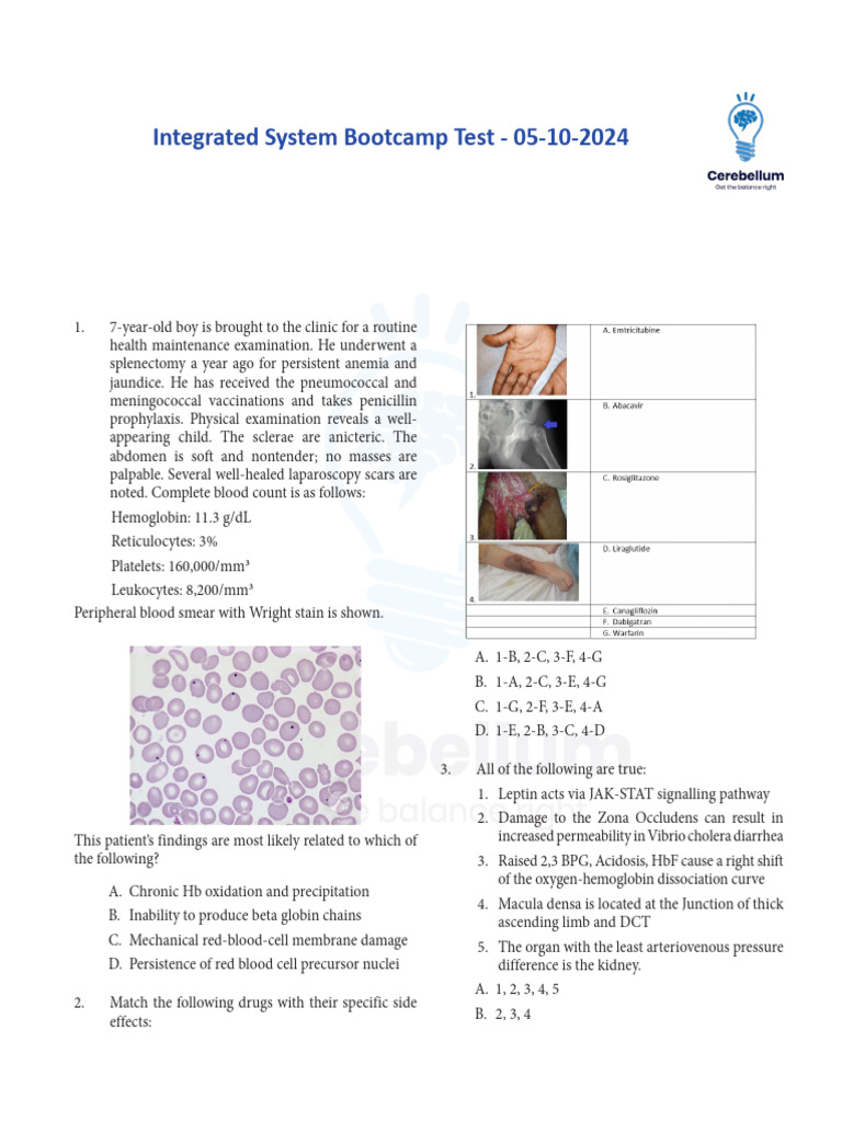 Integrated System Bootcamp Test Overview | PDF | Red Blood Cell | Breathing