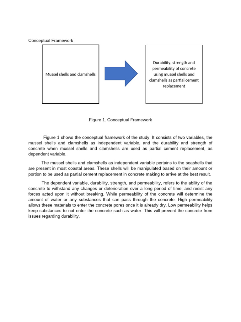 Conceptual framework | PDF