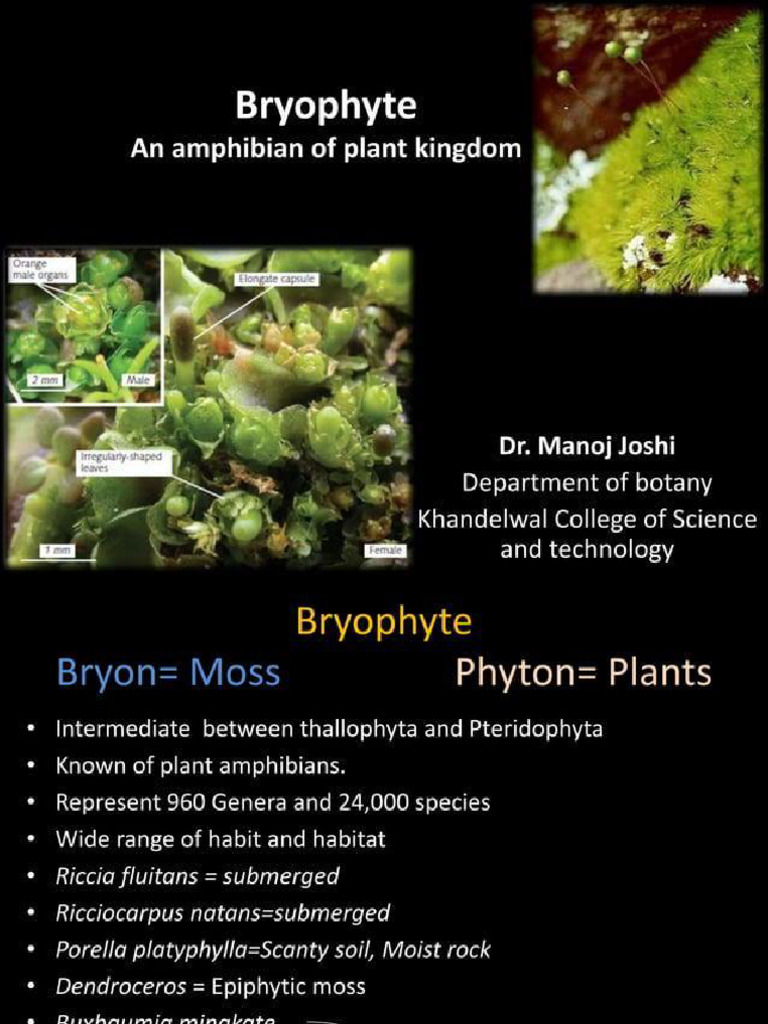 Bryophyte | PDF