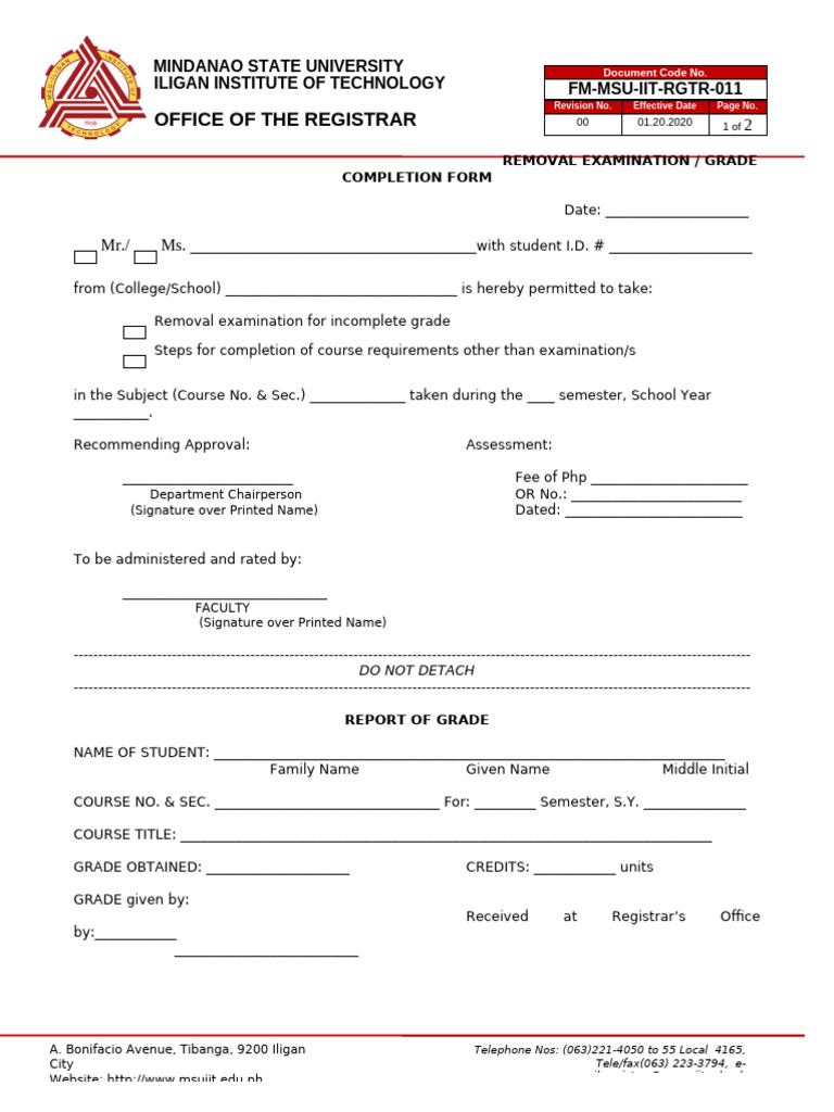 FM Msu Iit RGTR 011 Completion Form | PDF