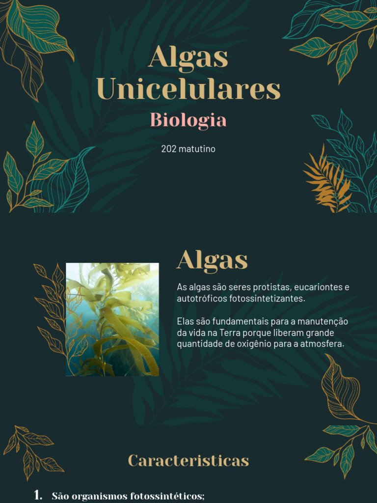 Algas Unicelulares | PDF