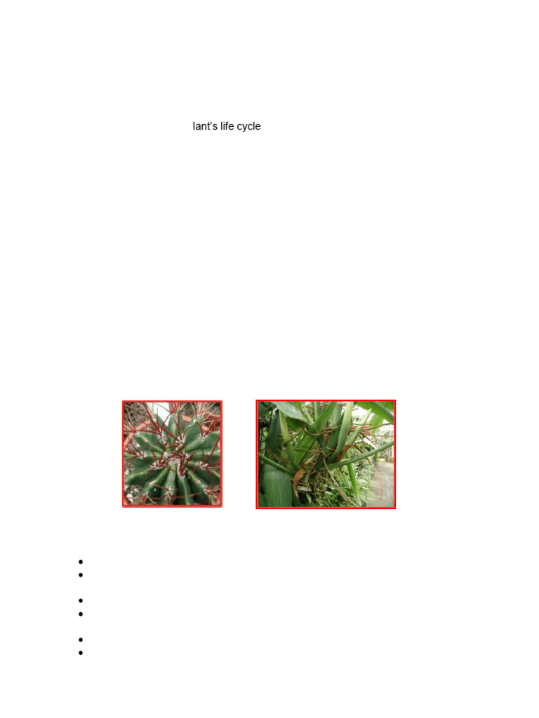 PCp Random | PDF | Leaf | Seed