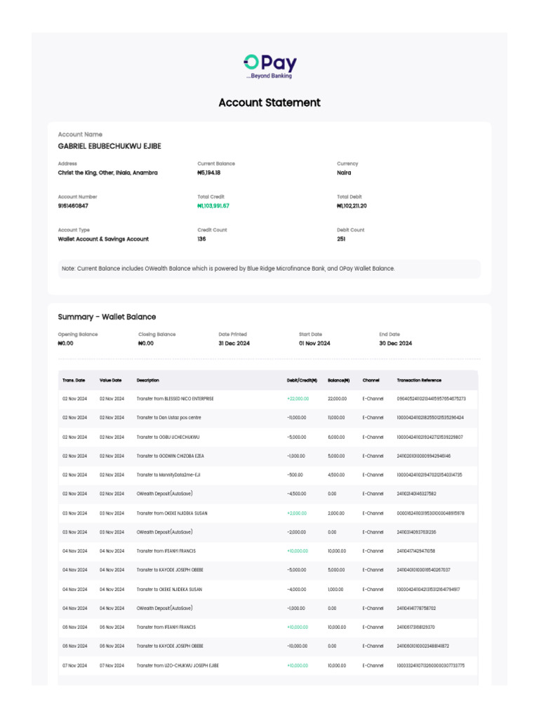 Gabriel Ebubechukwu Ejibe - 9161460847 - 20241231175307 | PDF | Debits ...