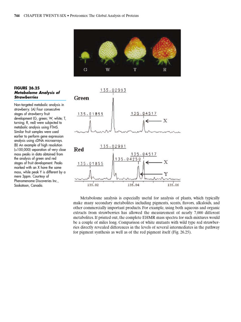 MOLECULAR BIOLOGY BY DAVID CLARK-762 | PDF