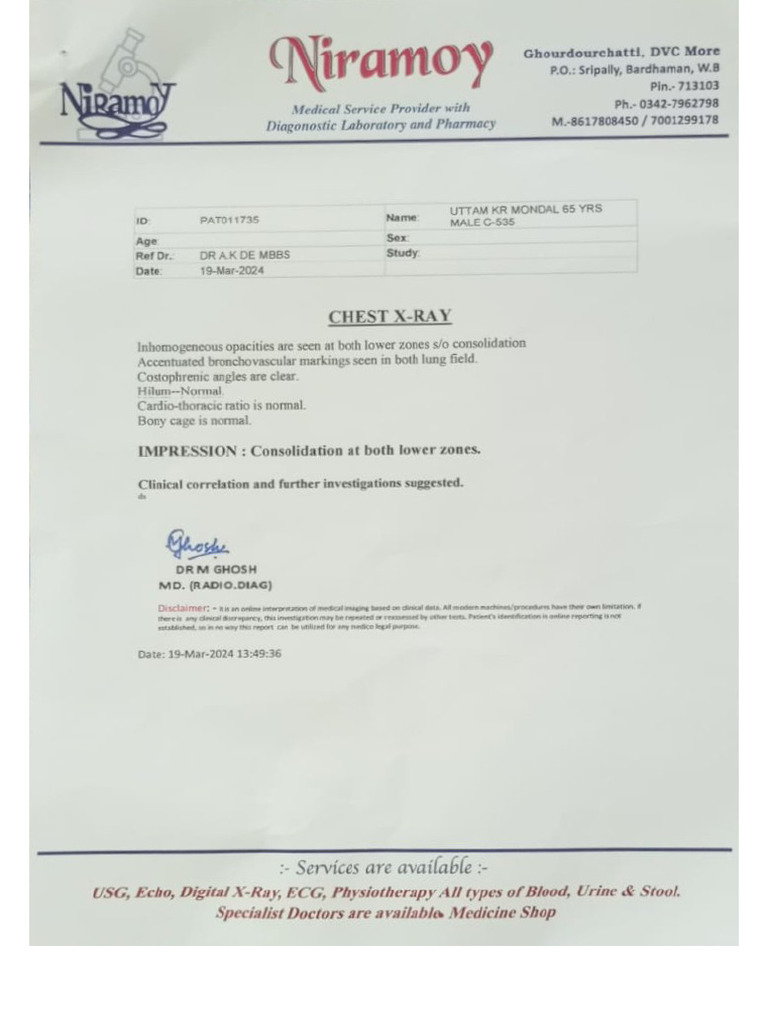 X-Ray Report | PDF