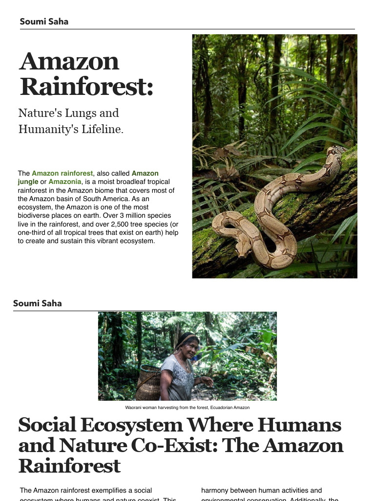 Amazon Rainforest: Biodiversity & Sustainability | PDF | Amazon ...