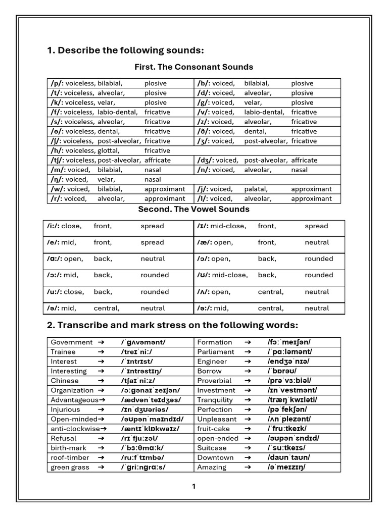 Phonology Pdf Syllable Consonant
