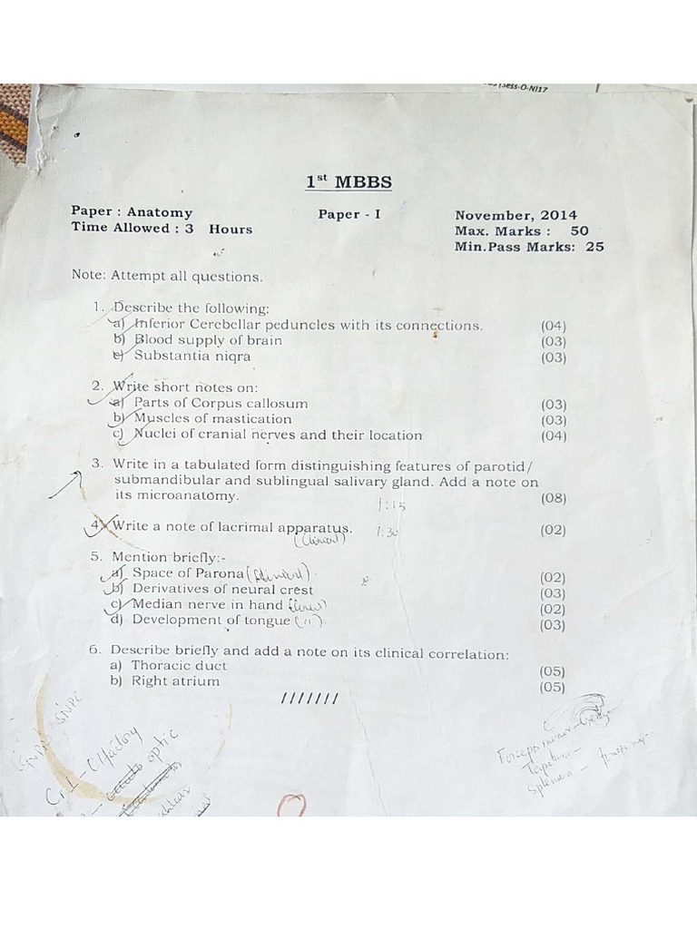 anatomy papers | PDF