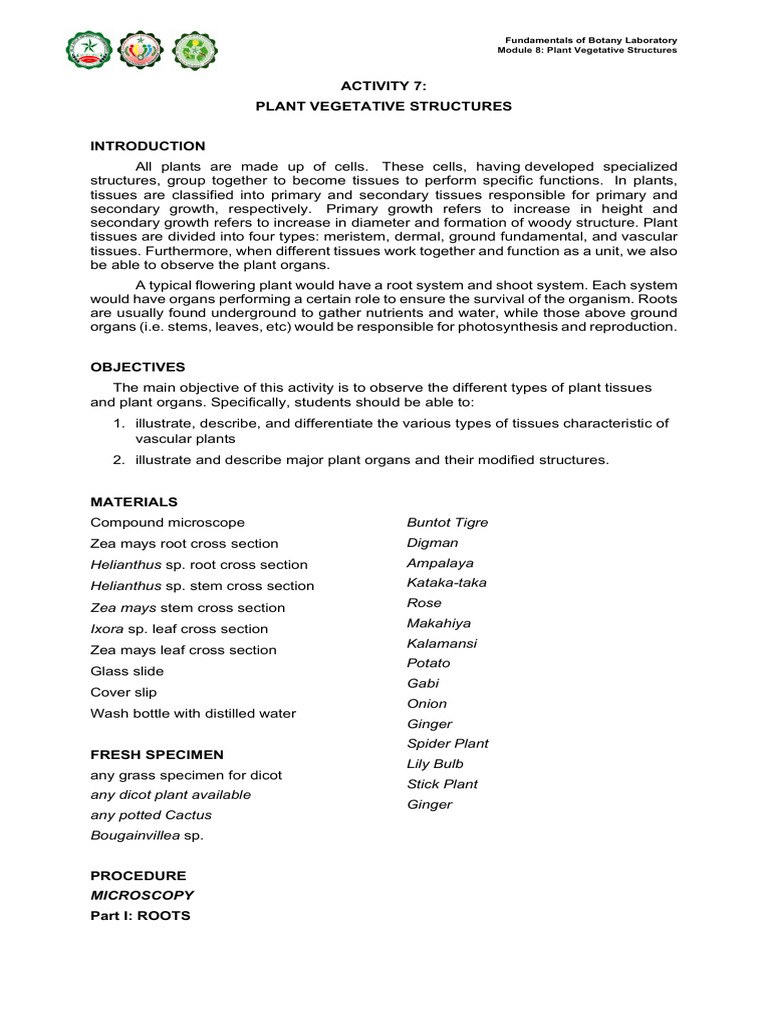 Plant Vegetative Structures Lab | PDF | Leaf | Plant Stem