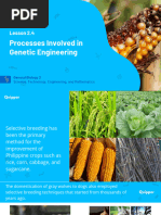 ENVIROPIG | PDF | Genetically Modified Organism | Transgene