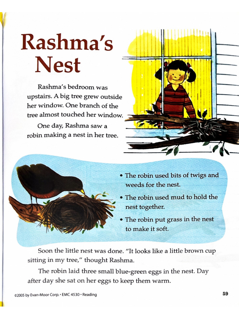 Rashma's Nest | PDF