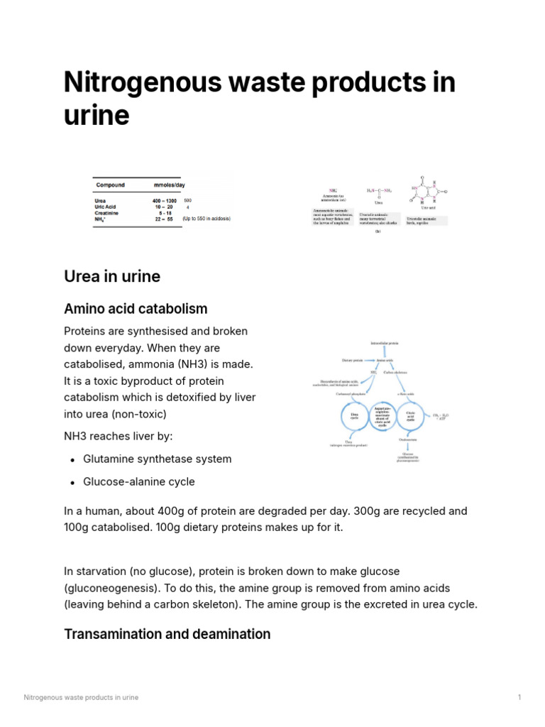 10.nitrogenous Waste Products in Urine | PDF | Urea | Ammonia