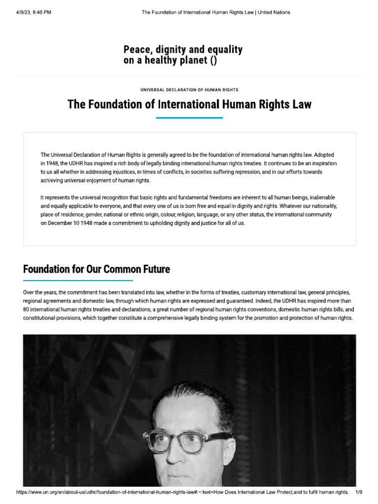 UDHR Web Content | PDF