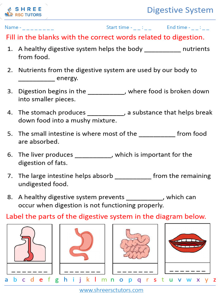 Importance of A Healthy Digestive System 1 | PDF