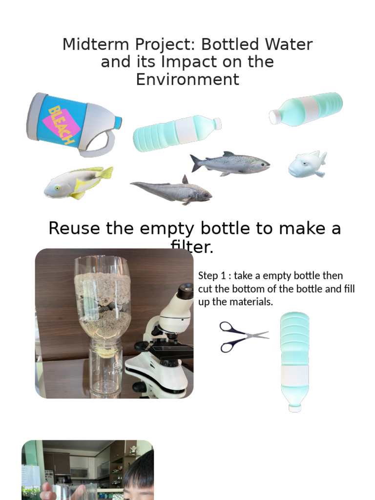 Midterm Project | PDF