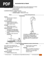 Radiographie de la cheville et du pied | PDF | Pied | Système squelettique