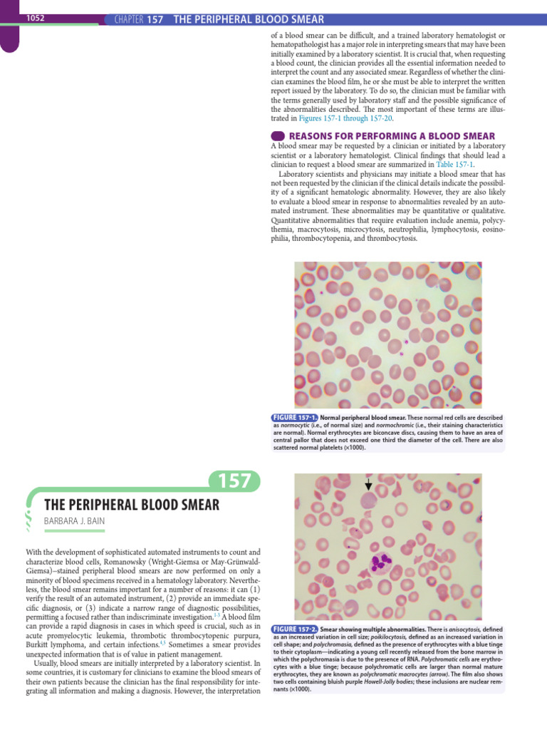 Importance of Peripheral Blood Smear | PDF | Anemia | Red Blood Cell