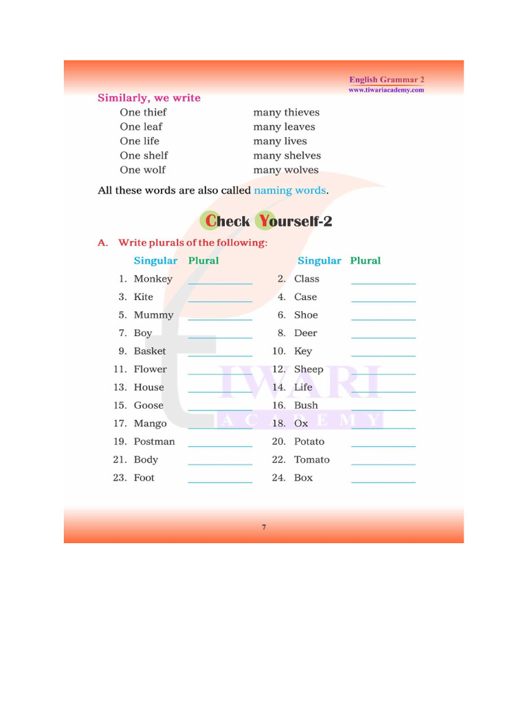 English Grade 2 | PDF