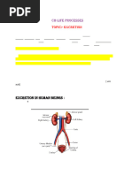 ? Excretion - Grade 11 Life Sciences | PDF