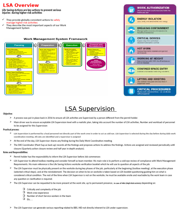 LSA supervision process GS (1) | PDF