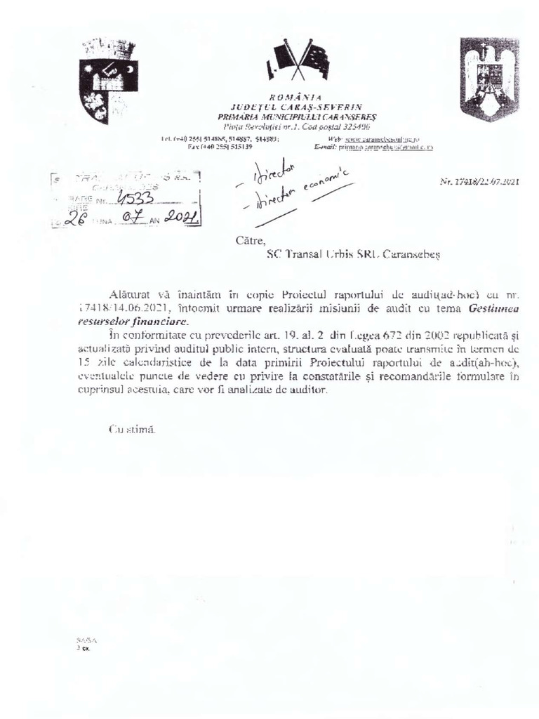 Raport Audit 2021 | PDF