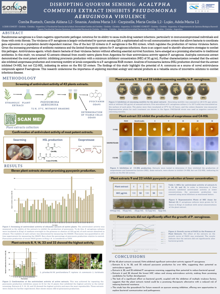 Antivirulent Plant Extracts vs. P. aeruginosa | PDF | Pseudomonas ...