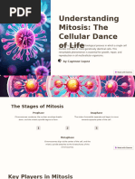 Mitosis in Human Skin Cells Study | PDF | Mitosis | Cell Biology