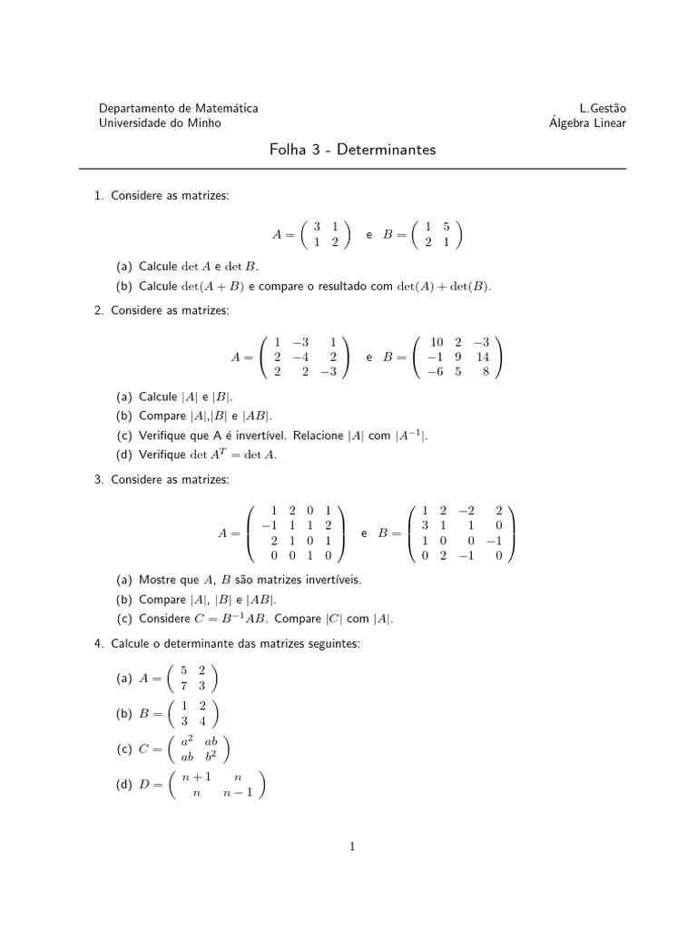 Cálculo de Determinantes e Matrizes | PDF | Analise matemática | Teoria ...