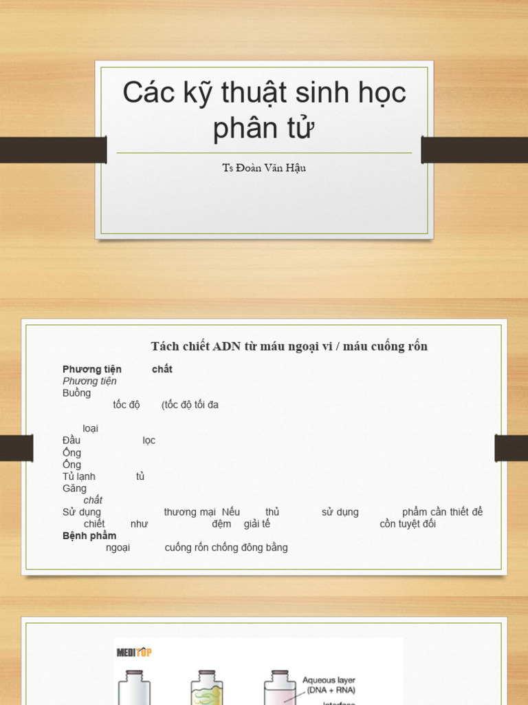 kỹ thuật shpt | PDF