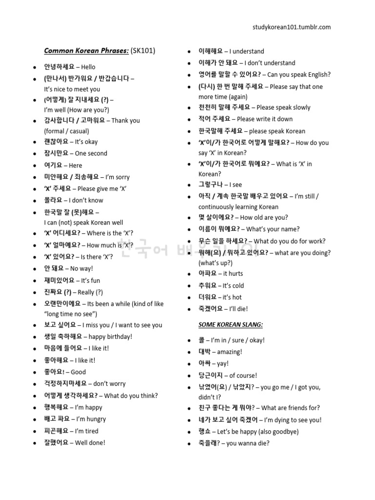 Common Korean Phrases sk101 1 | PDF