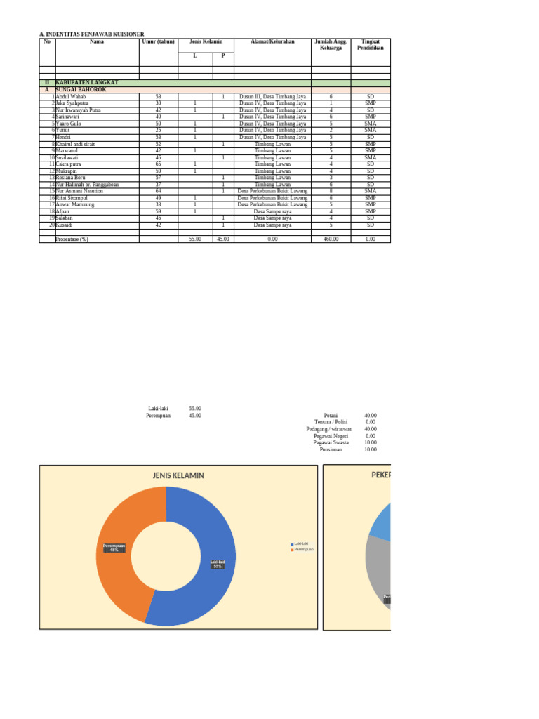 Excel Kuisioner Sosek Bahorok (19102022) | PDF