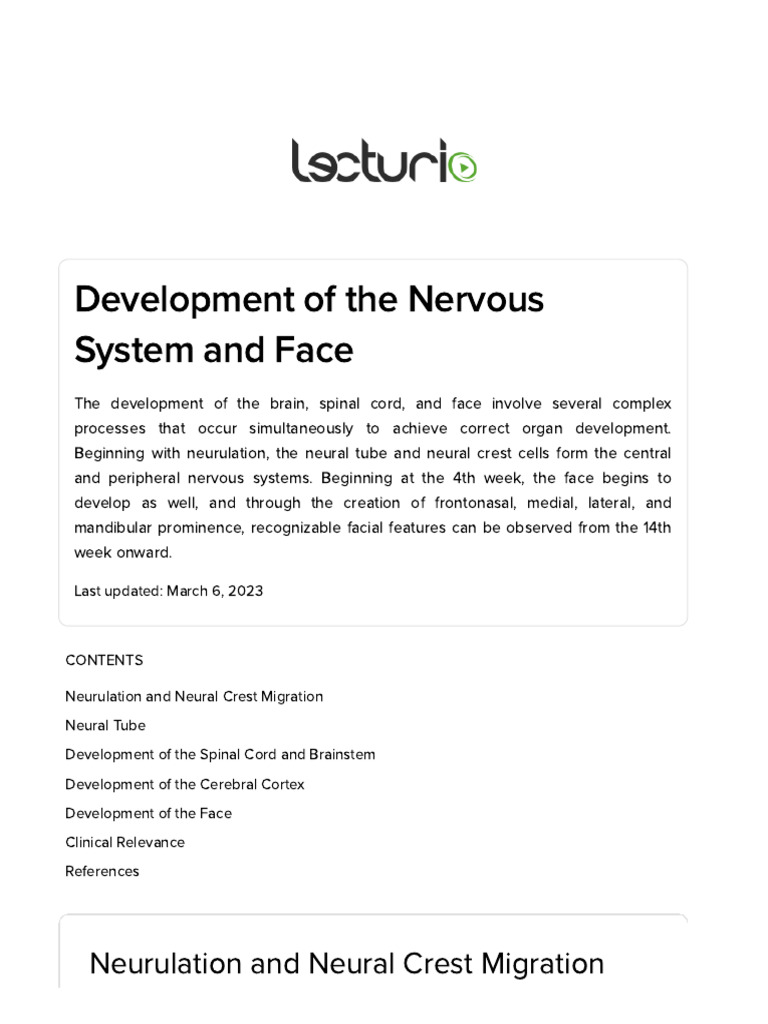 Development of The Nervous System and Face | PDF | Spinal Cord ...