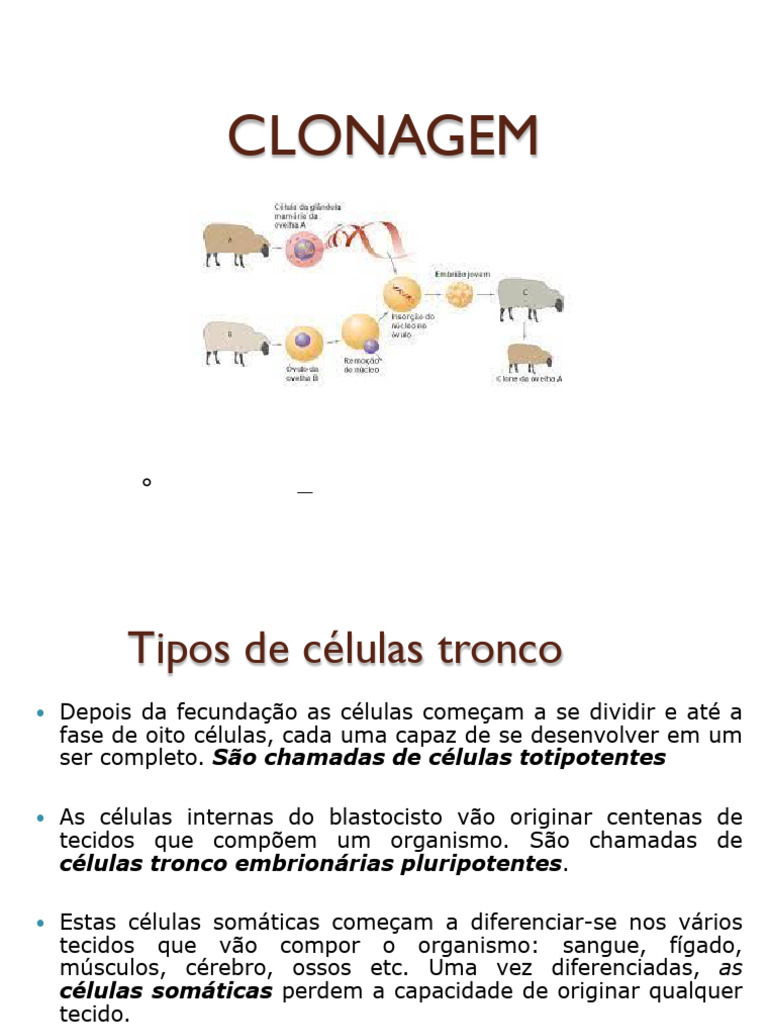 Clonagem 2024 2 | PDF | Clonagem | Potência celular