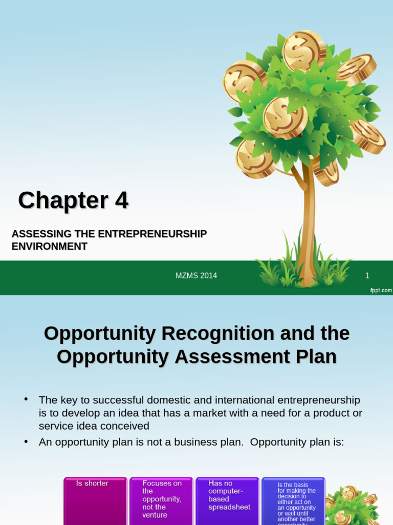Entrepreneurial Opportunity Guide | PDF | Swot Analysis | Business