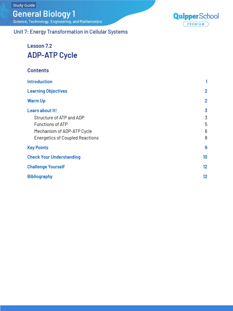 ADP-ATP Cycle: Energy in Cells | PDF | Adenosine Triphosphate ...