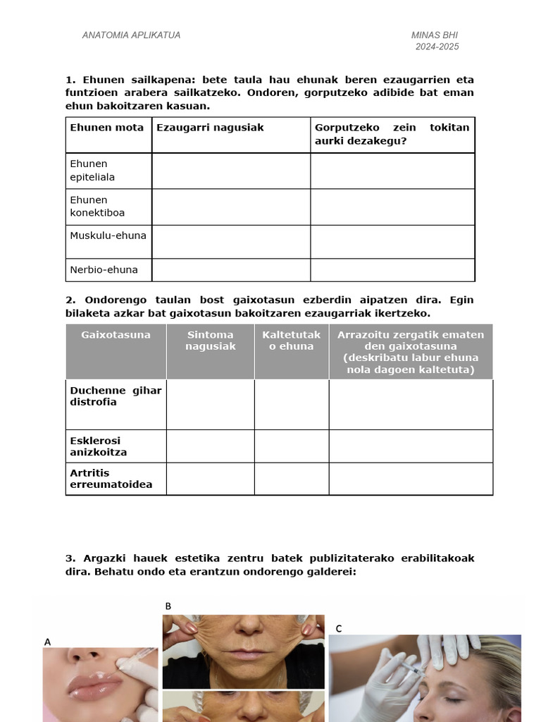 Ehunak. Ariketak | PDF