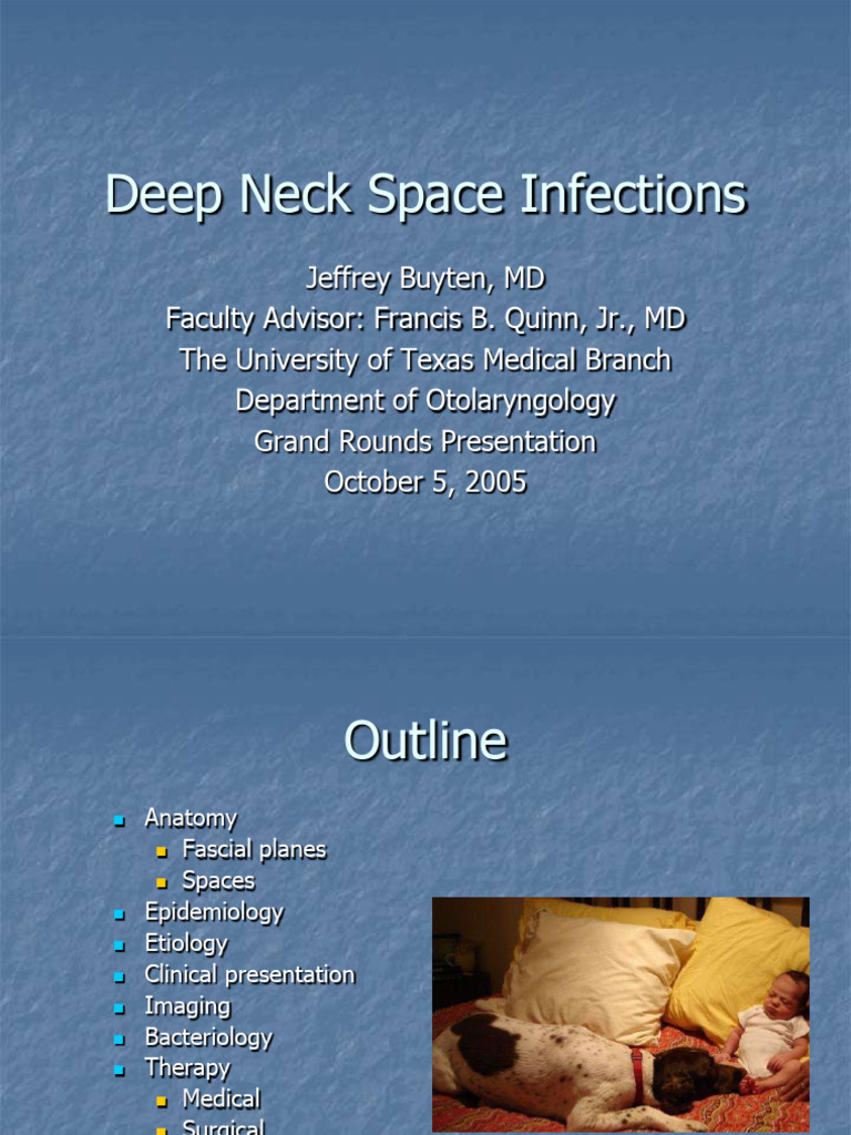 deep neck infection | PDF | Common Carotid Artery | Neck