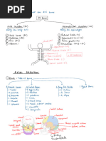 General Anatomy Notes | PDF
