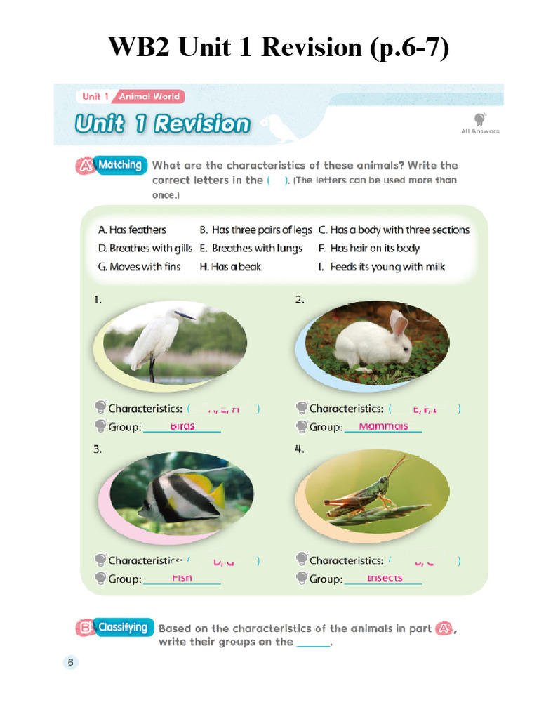 WB2 Unit1,2 Revision Ans | PDF