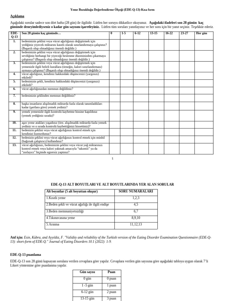Ede Q 13 Turkce Formu 1 | PDF