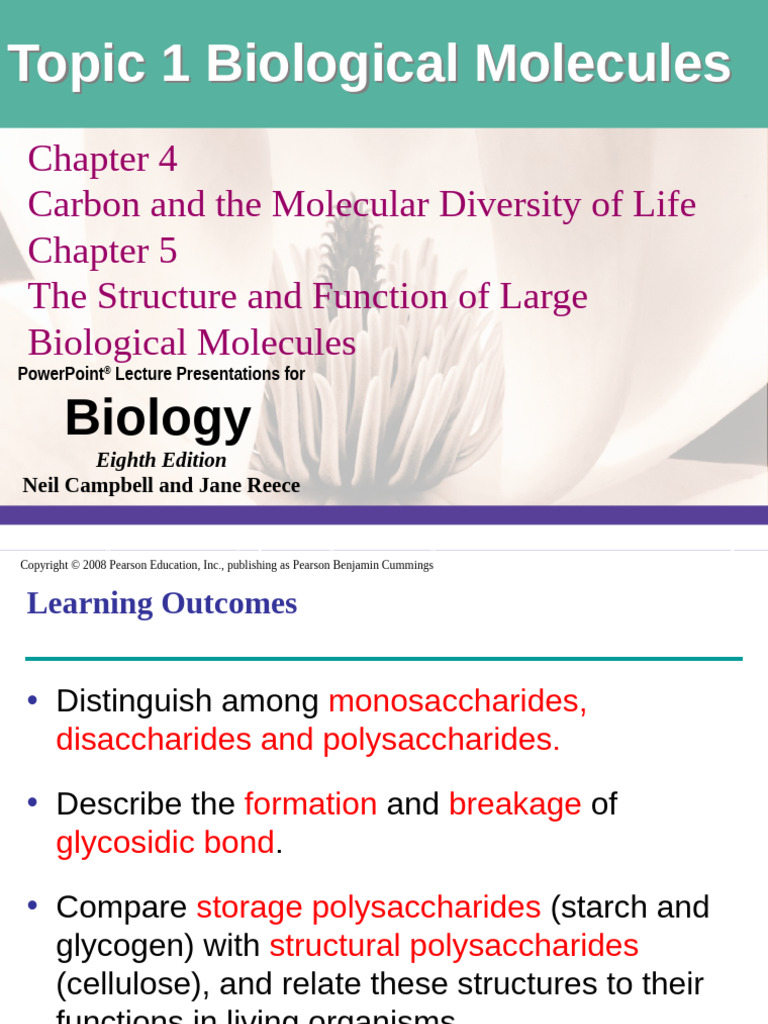 Biological Molecules | PDF | Nucleotides | Nucleic Acids