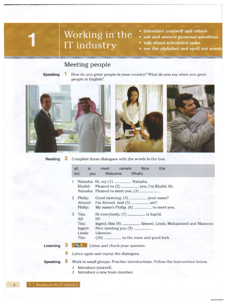 IT Roles and Responsibilities Overview | PDF