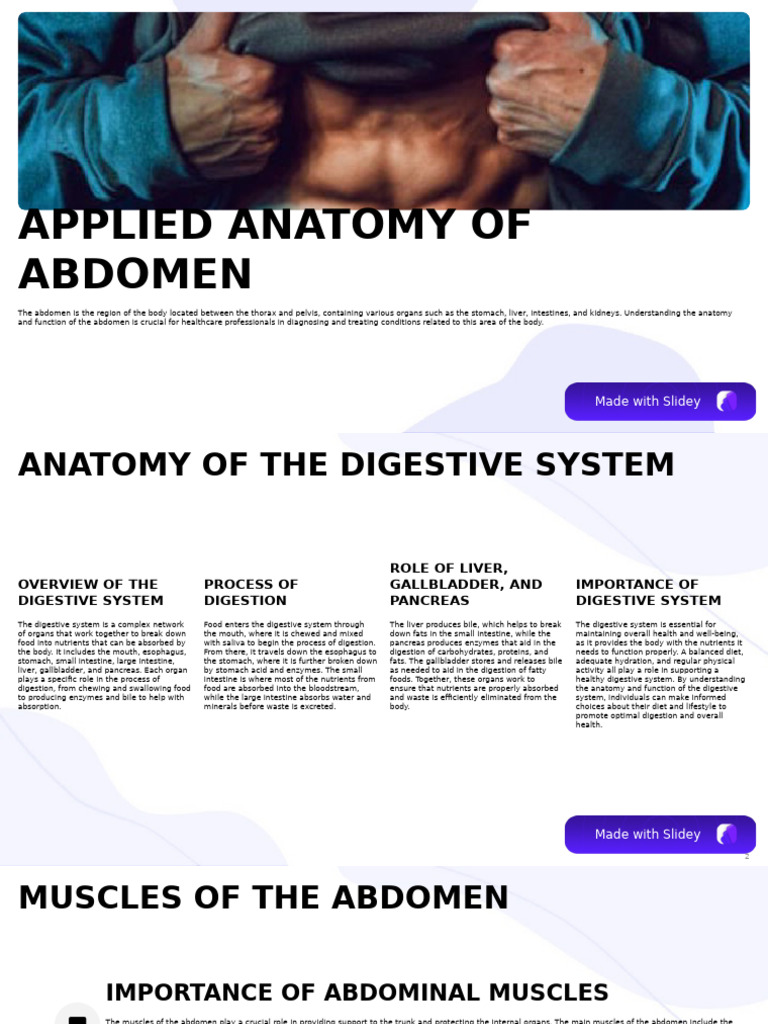 Anatomy and Function of the Abdomen | PDF | Human Digestive System ...