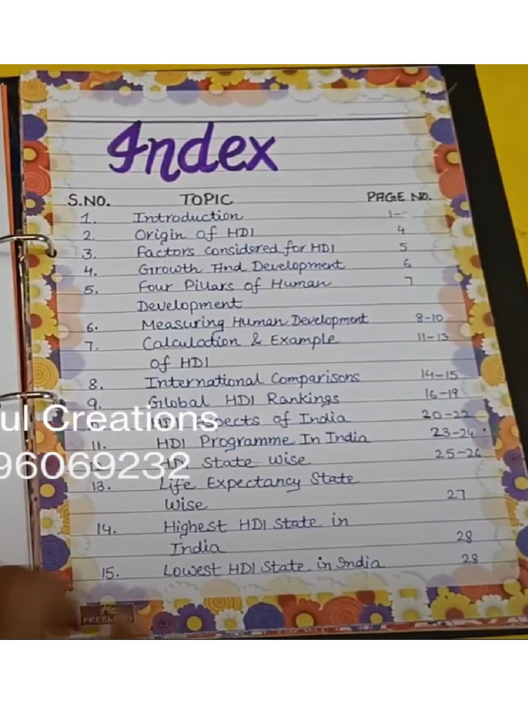 Economics Human Development Index Project Class 12 | PDF